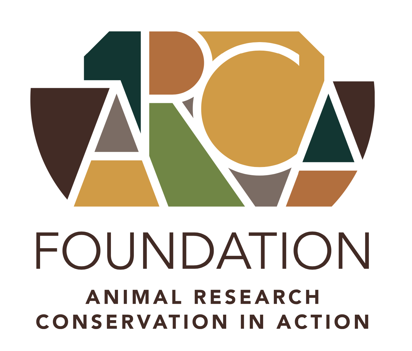 Proyecto Tití: Conserving the Cotton-top Tamarin in Colombia > About ...